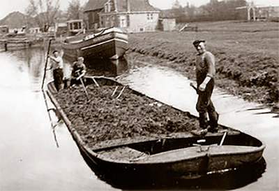 Vernieuwde historische praam in gebruik. ‘Nostalgie en uitstraling ...